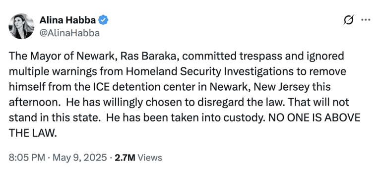 Alina Habba Back in Trouble for (Allegedly) Lying While Lawyering ...